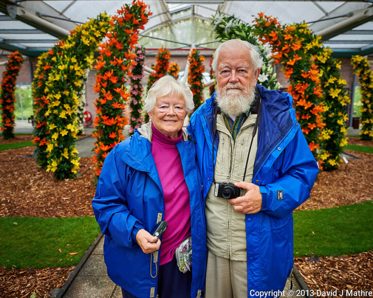 Tulip festival at Keukenhof Gardens (16-May-2013) - Travel Images